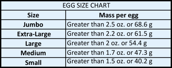 EGG CHART – Dunreath Farm