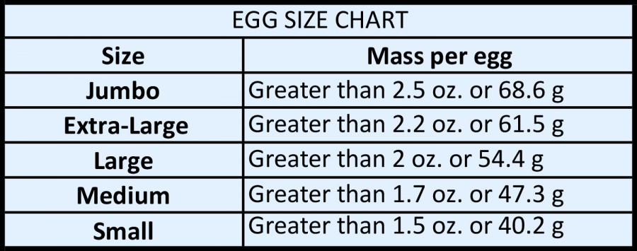 EGG CHART – Dunreath Farm